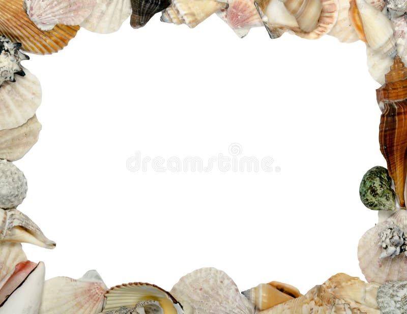 Frame made of shells stock photo. Image of collection - 21988956