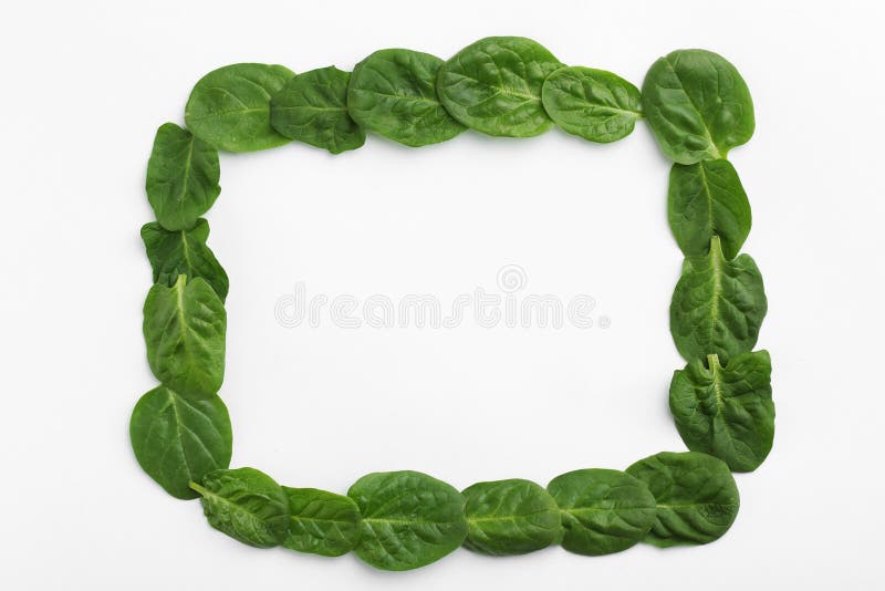 Frame Made of Spinach Leaves on White, Top View. Space for Text Stock ...
