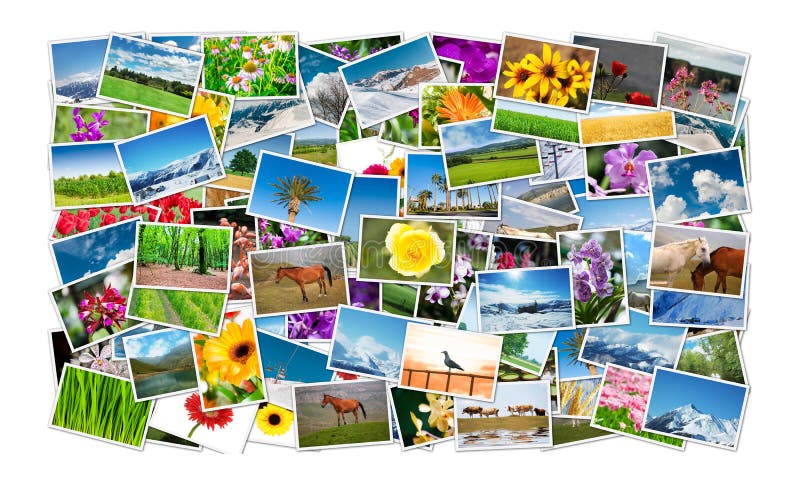 The Frame Made of Various Nature Photos Stock Photo - Image of postcard ...