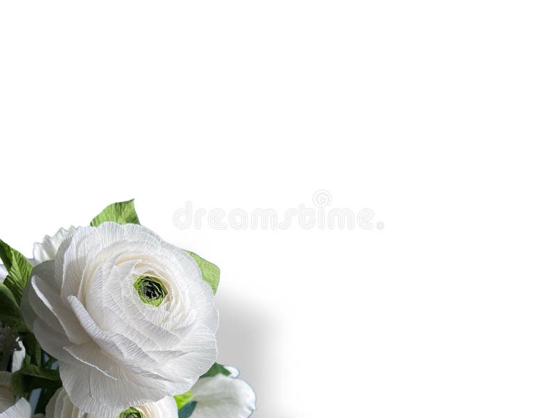 Frame Made of White Flowers on a White Background. Top View with Copy ...