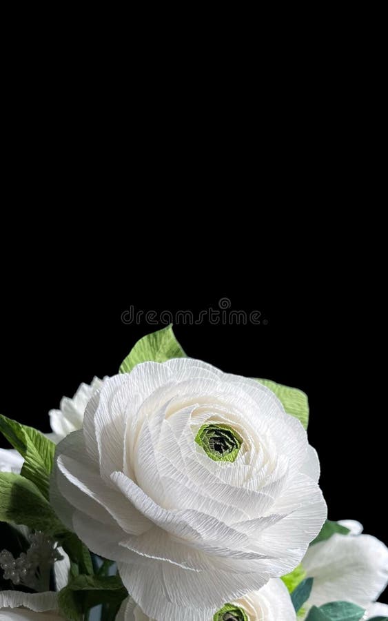 Frame Made of White Flowers on Black Background. Top View with Copy ...