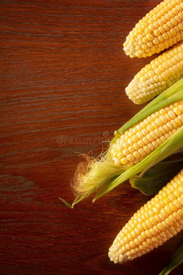 Frame with the maize stock photo. Image of maize, kernels - 42333514