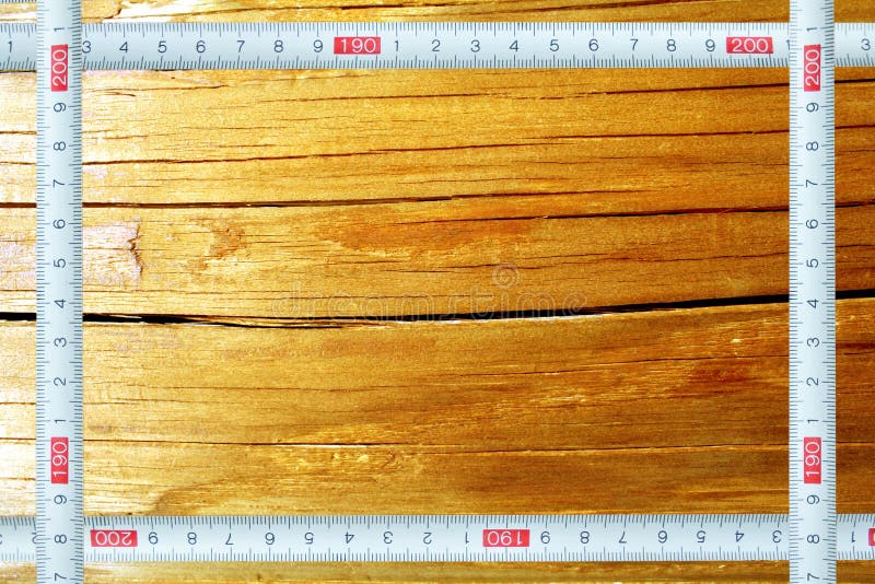Frame a Measuring Ruler Against Texture of a Tree Stock Image - Image ...