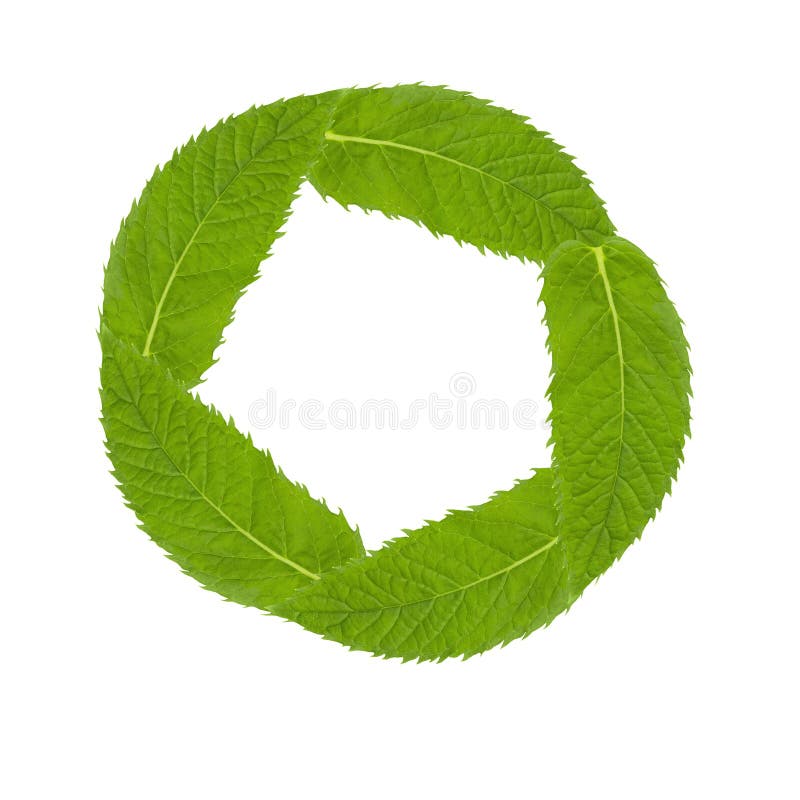 Frame of Mint Leaves on White Isolated Stock Image - Image of closeup ...