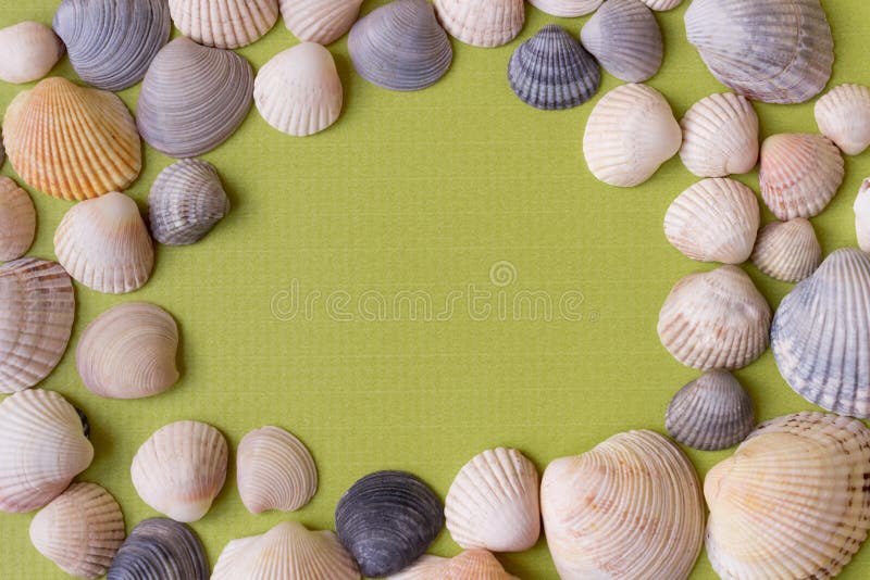 The Frame of Multi-colored Seashells on a Green Background. Top View ...