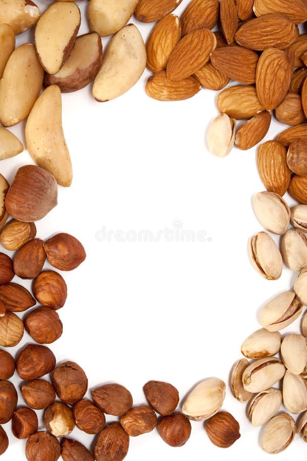 Frame Nut stock image. Image of hard, seasonal, peeled - 13354693