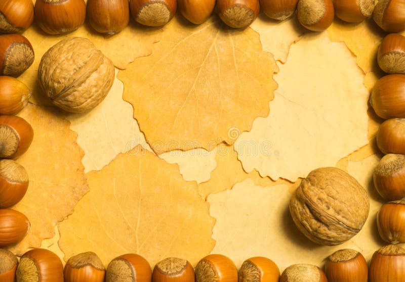 Frame with Nuts and Autumn Leaves Background Stock Image - Image of ...