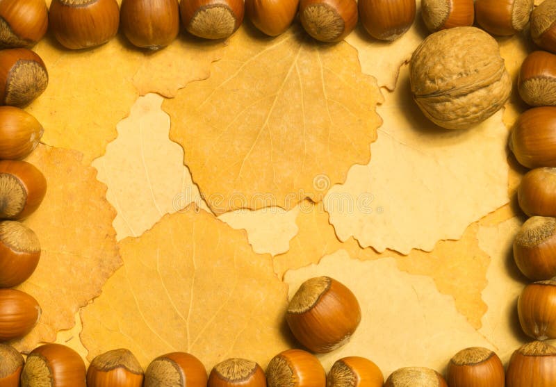 Frame with Nuts and Autumn Leaves Background Stock Photo - Image of ...