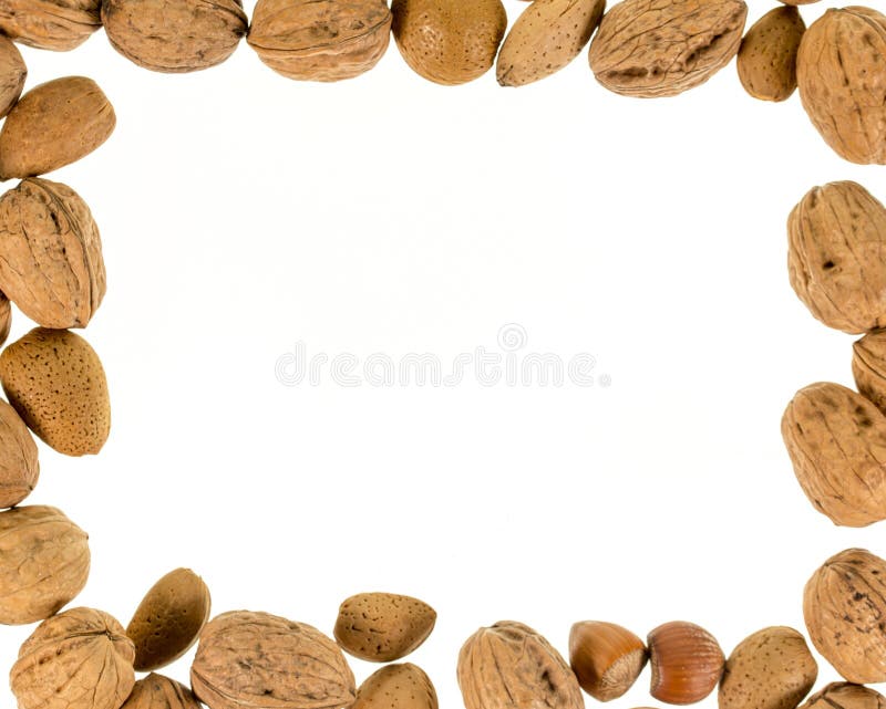 Frame Of Nuts On A White Background. Raining Stock Image - Image of ...