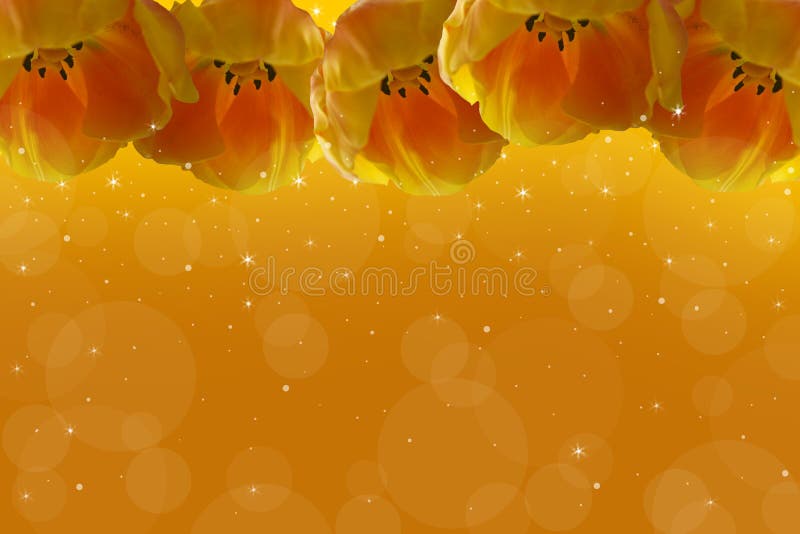 Frame of orange tulips. stock image. Image of flower - 160118443