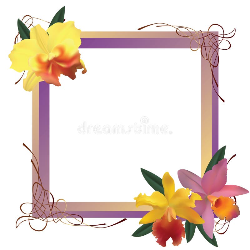 Frame with orchids stock vector. Illustration of abstract - 31022574