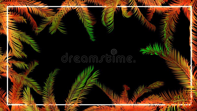 Frame with Palm Trees on Alpha Channel Codec Png Alpha in Loop Stock ...