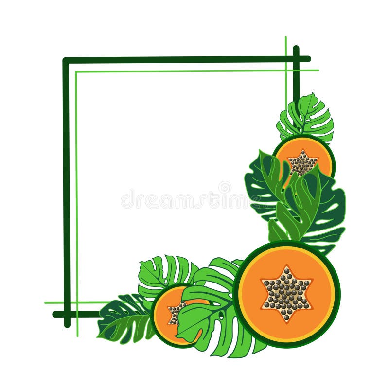 Frame with Papaya and Monstera Stock Illustration - Illustration of ...