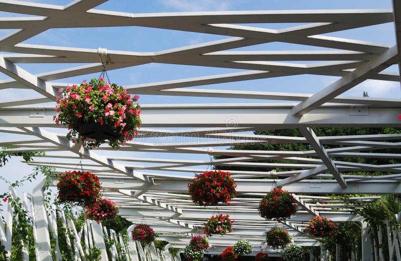 Frame Pavillion with Hanging Petunia. Stock Image - Image of pavilion ...