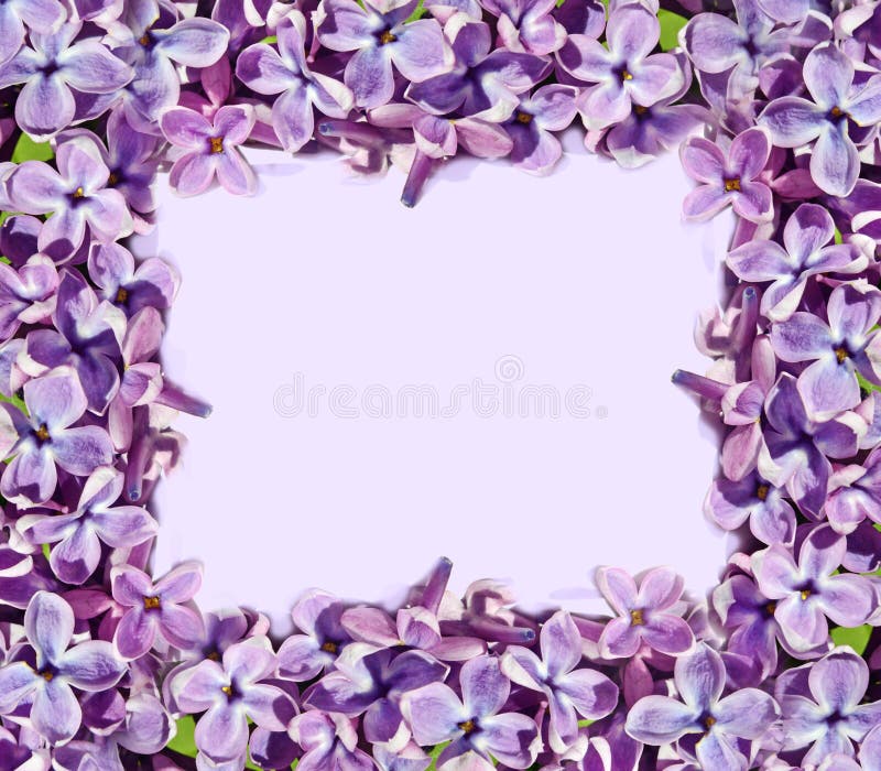 Frame for Pictures with Lilac Flowers Stock Image - Image of greeting ...