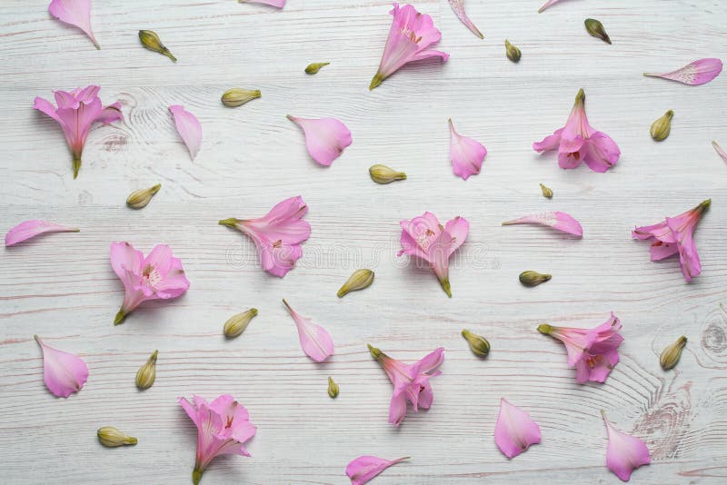 Frame with Pink Flowers Flat Lay, Top View Stock Image - Image of ...