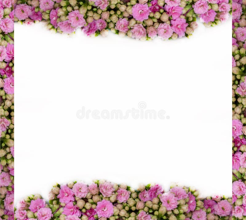 Frame with pink flowers stock photo. Image of flat, round - 99063598