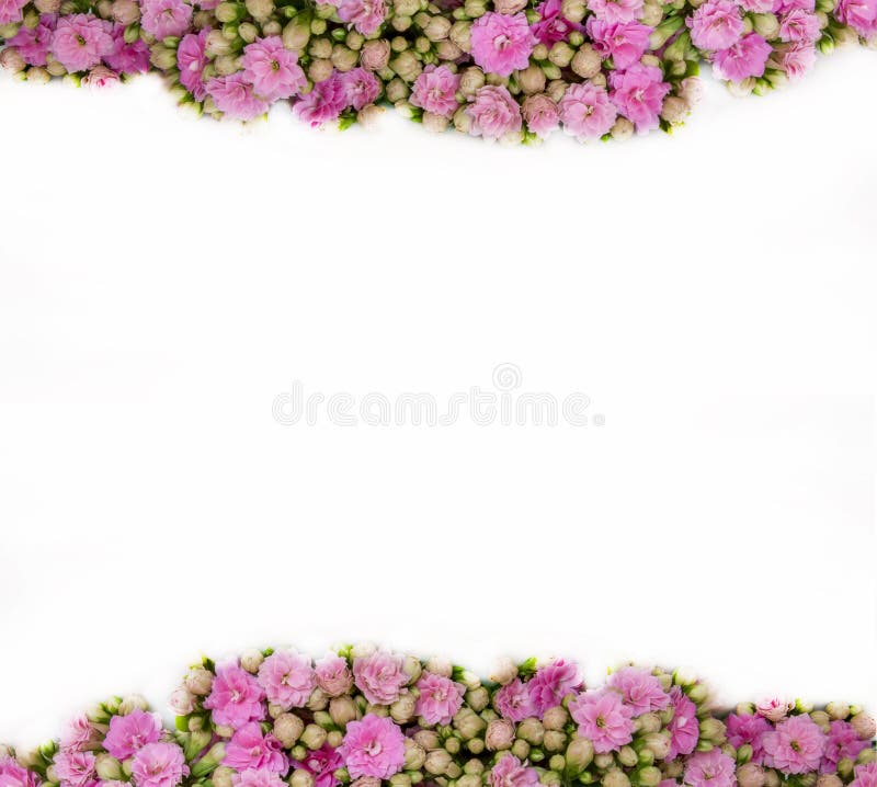 Frame with pink flowers stock image. Image of decoration - 99063809