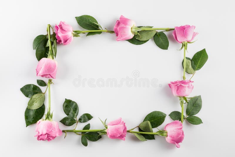Frame with pink roses stock image. Image of beautiful - 100331385