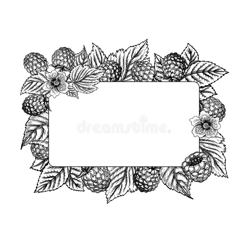 Frame with Raspberries, Hand Drawn Black and White Graphic Vector ...
