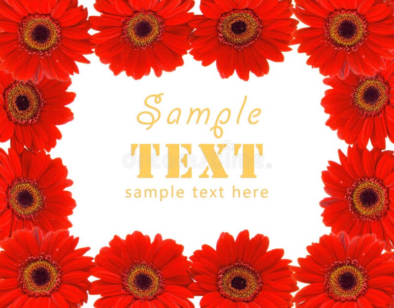 Gerbera flowers frame stock image. Image of close, beauty - 14166853
