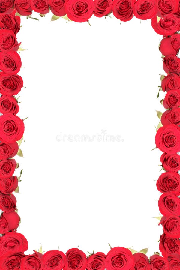 Frame of red roses stock photo. Image of license, symbolbild - 8052202