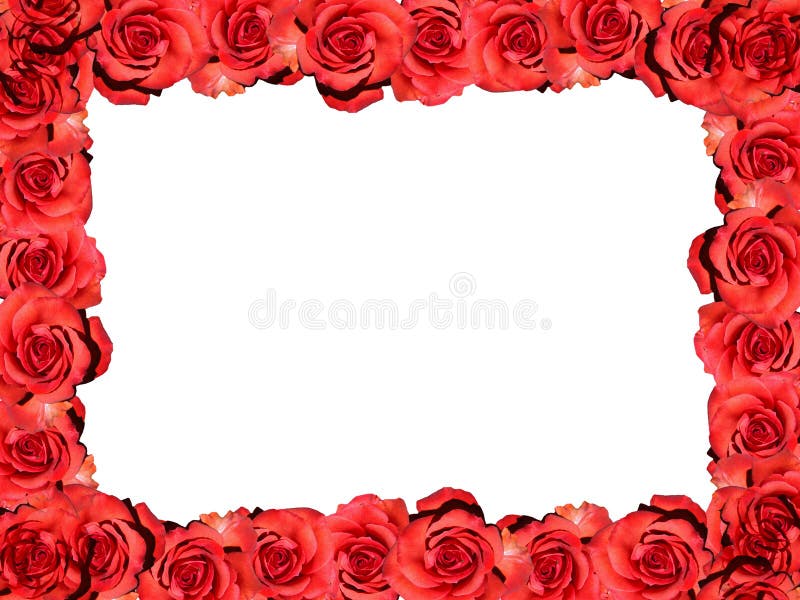Frame of red roses stock photo. Image of license, symbolbild - 8052202