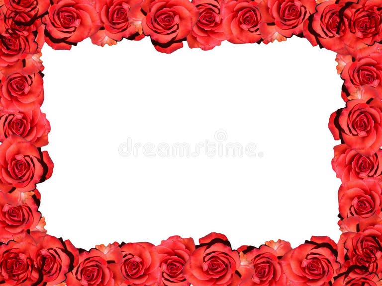 Frame of red roses stock photo. Image of license, symbolbild - 8052202