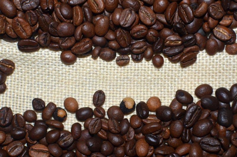 Sort Coffeeans Stock Photos - Free & Royalty-Free Stock Photos from ...