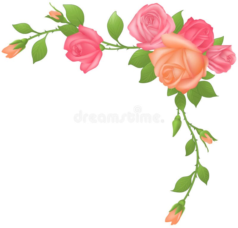 Red, Pink and White Roses. Vector Corner Background. Stock Vector ...