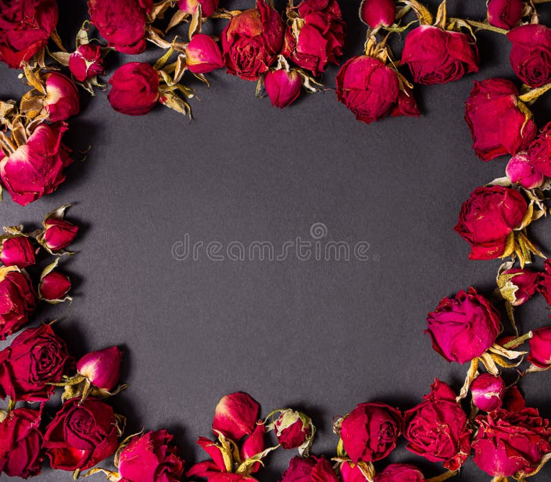 Frame of Roses on a Black Background. Postcard. View from Above. Copy ...