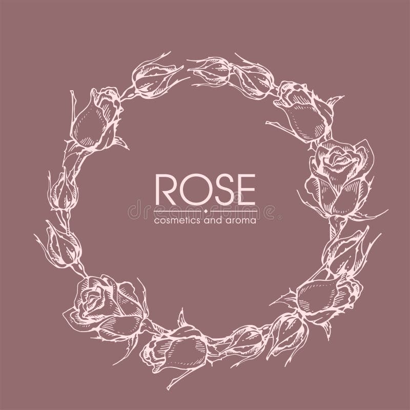 Frame with Roses . Detailed Hand-drawn Sketches, Vector Stock Vector ...