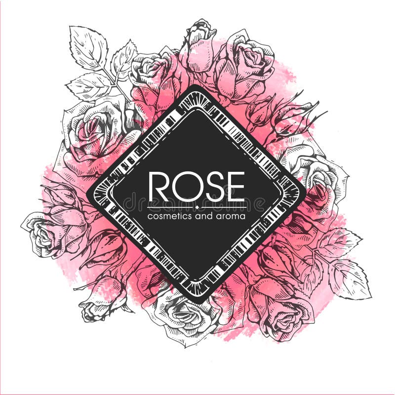 Frame with Roses . Detailed Hand-drawn Sketches, Vector Stock Vector ...