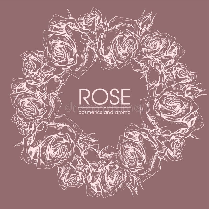 Frame with Roses . Detailed Hand-drawn Sketches, Vector Stock Vector ...