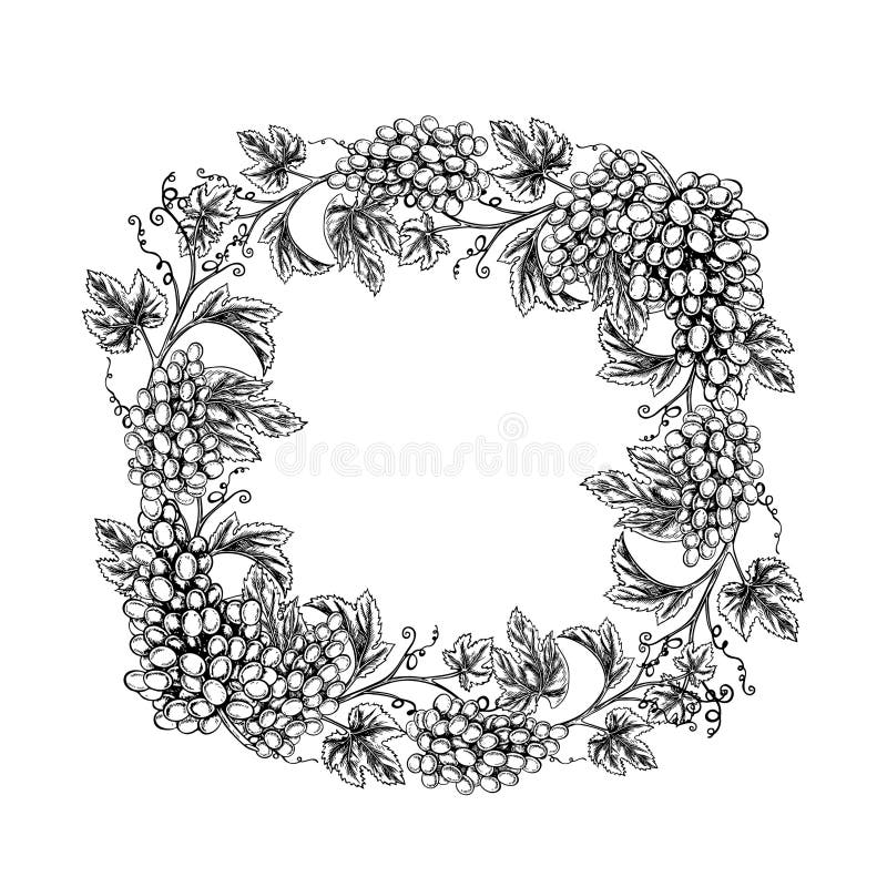 The Frame is a Round Wreath with Vines and Bunches of Grapes. Vector ... The Frame is a Round Wreath with Vines and Bunches of Grapes. Vector ...