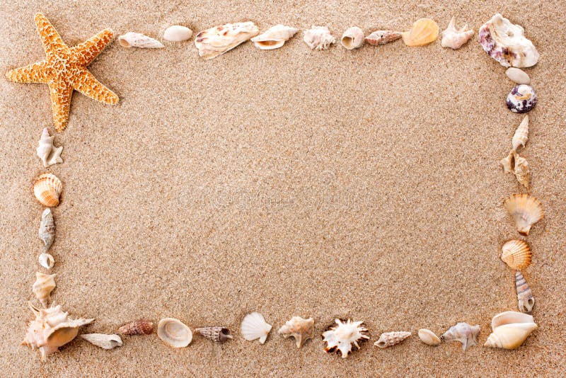 Frame of seashells stock photo. Image of ocean, border - 26860778 Frame of seashells stock photo. Image of ocean, border - 26860778