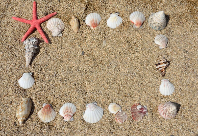 Frame of Seashells stock photo. Image of collection, tourism - 71053772