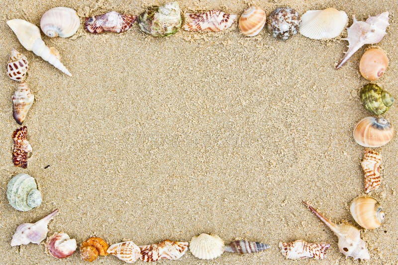 Frame of seashells stock image. Image of postcard, seashells - 138104767