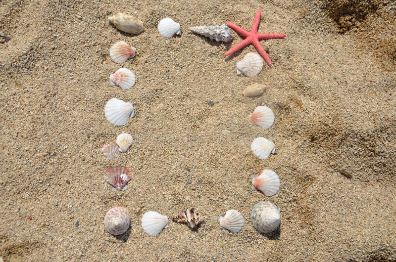 Frame of Seashells on Sand stock photo. Image of shell - 71053708