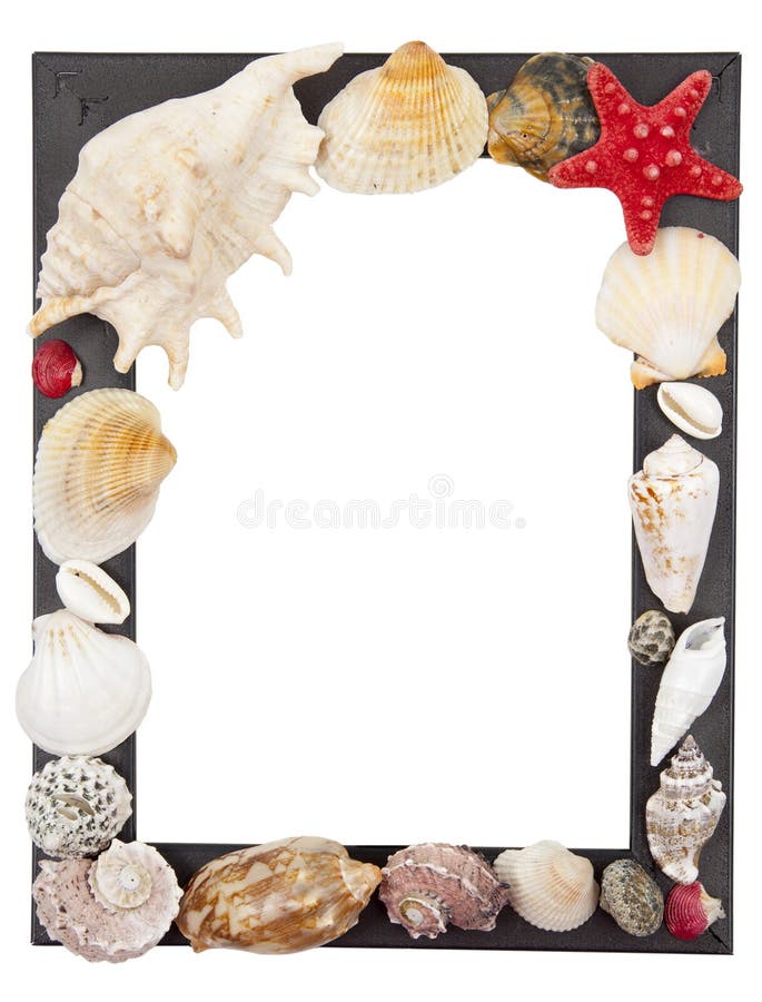 Frame with shells stock image. Image of shells, isolated - 25201723