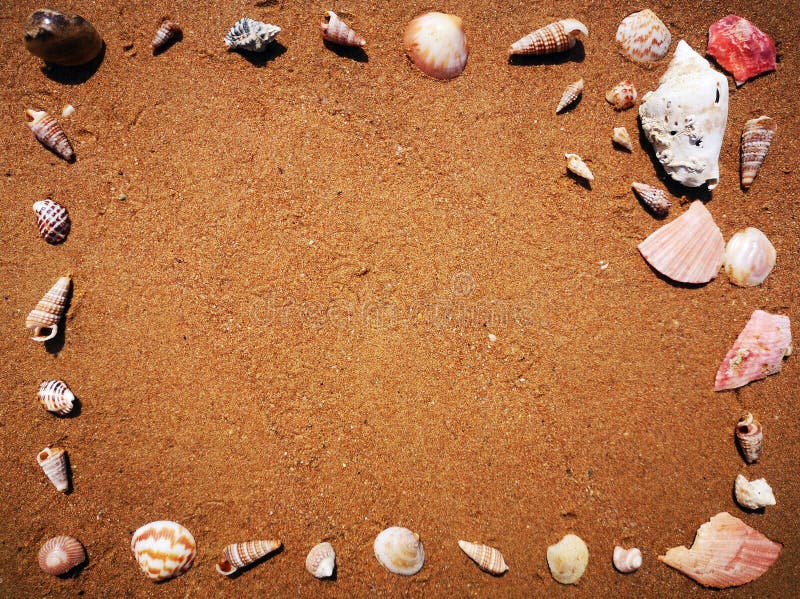 Frame of Shells Against the Background of Fine Golden Sand. Stock Photo ...