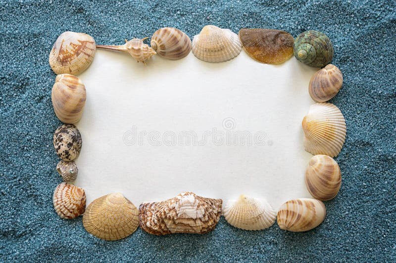 Frame of shells stock photo. Image of exotic, empty, paper - 57507822