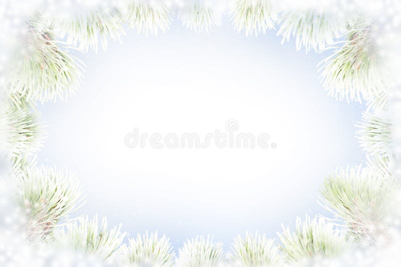 Frame of Snow-covered Spruce Branches on a Blue Background. Winter ...
