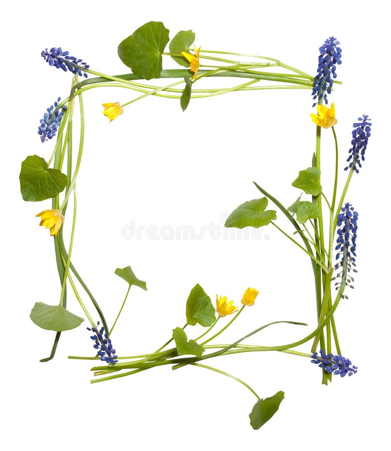 Spring frame stock image. Image of frame, magenta, decoration - 15713335