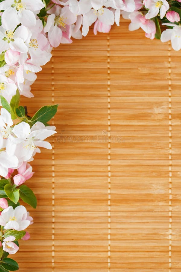 Frame of Spring Flowers of Sakura on Bamboo Background. Beautiful ...