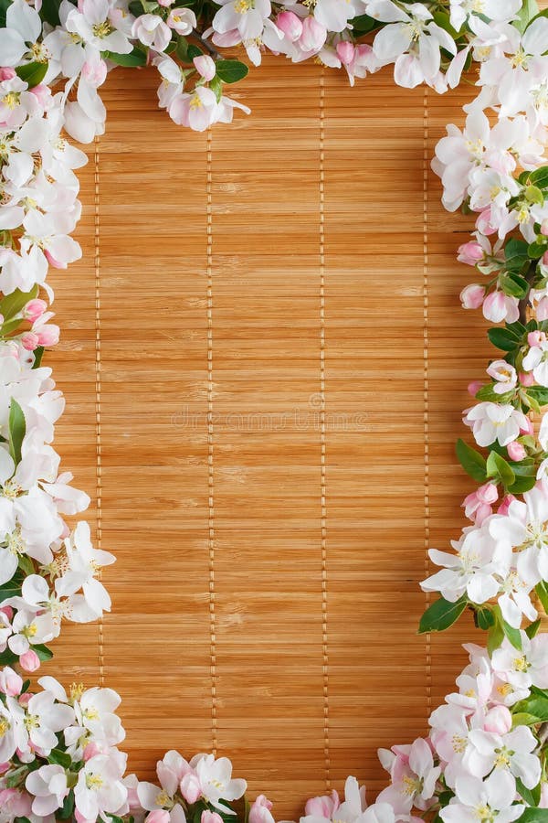 Frame of Spring Flowers of Sakura on Bamboo Background. Beautiful ...