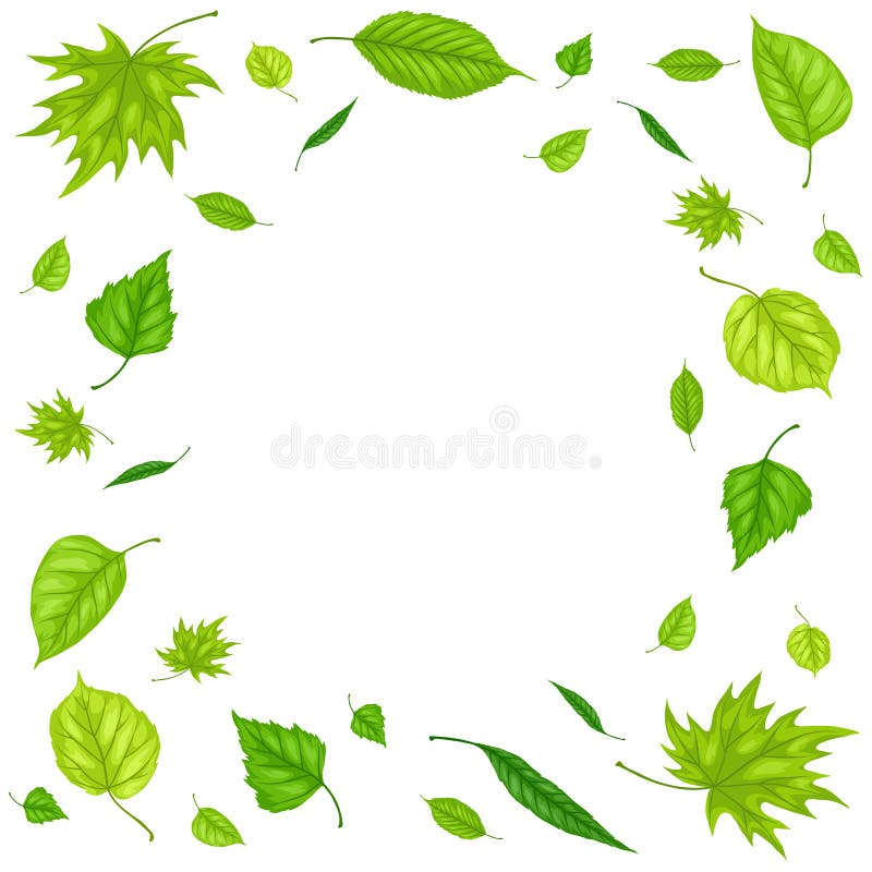 Frame with Spring Leaves. Beautiful Decorative Foliage. Stock Vector ...