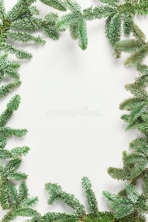 The Frame of Spruce Branches. Christmas Concept Stock Photo - Image of ...