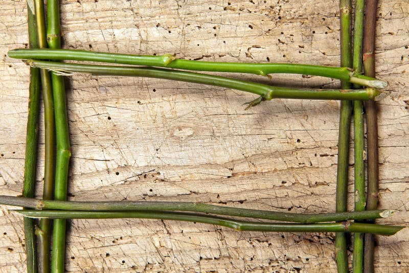 Frame of stems stock image. Image of branch, border, plant - 11785863