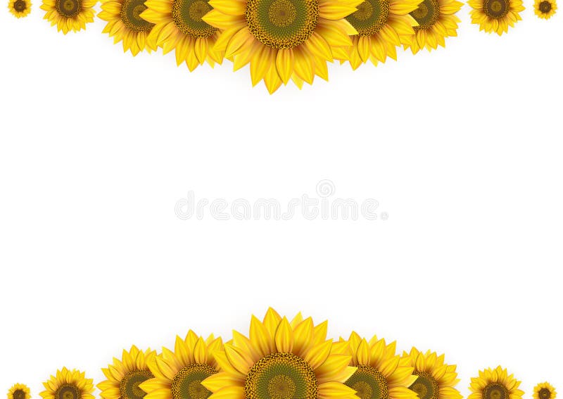 Horizontal Seamless Background with Sunflowers and Stock Vector ...